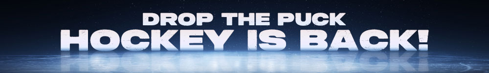 Hockey Memorabilia And Collectibles – The Bradford Exchange Canada